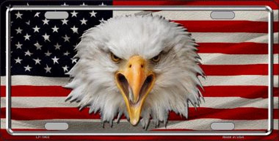 USA Bald Eagle American Flag License Plate Car Tag – Let's Print Big